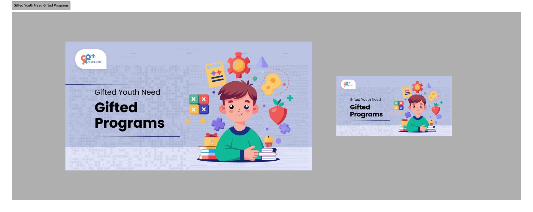 What Are Gifted Programs?